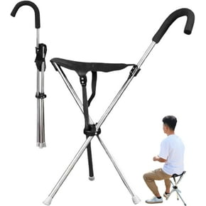 Portable Walking Chair