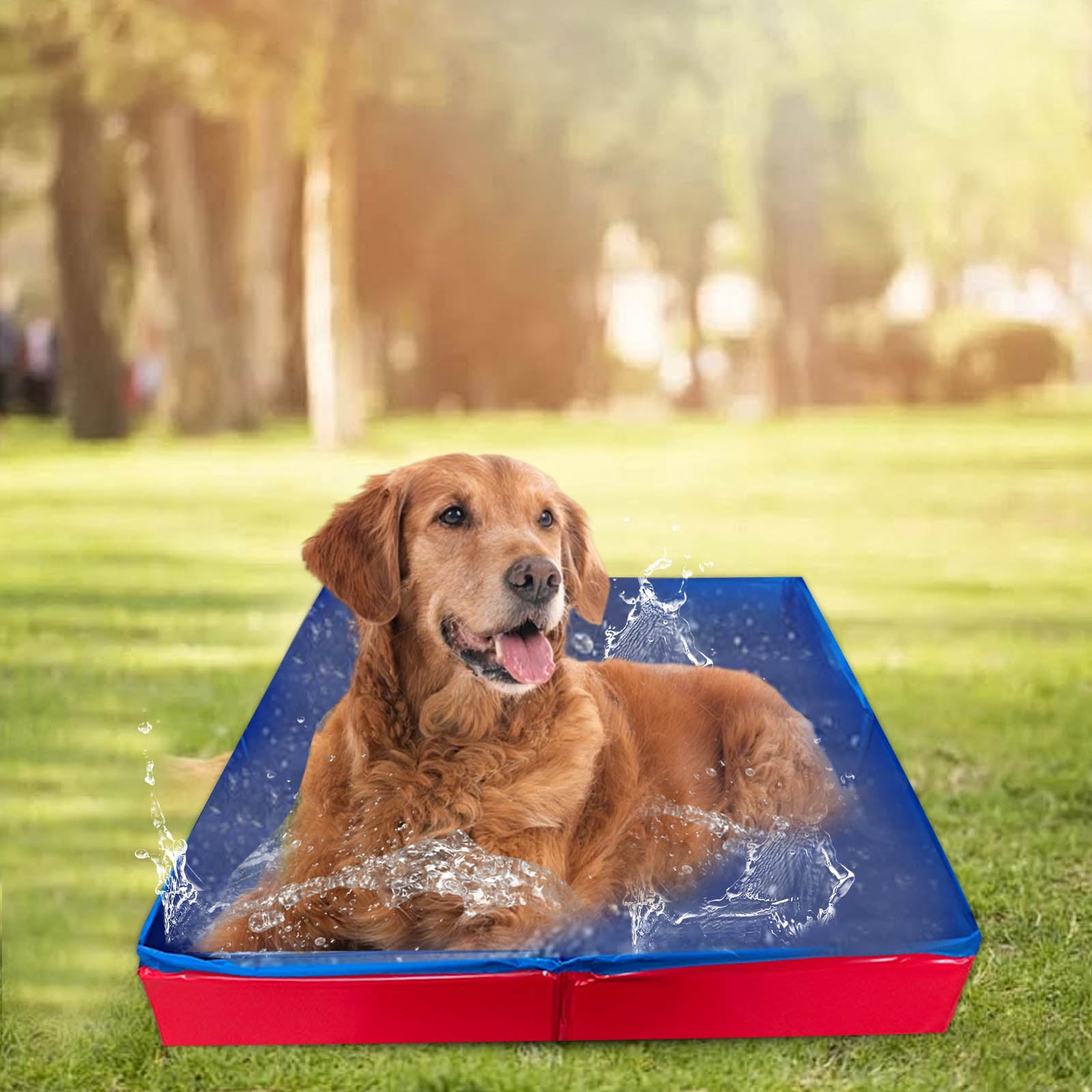 Foldable Dog Kiddie Pool Hard Kids Swimming Pools Pet Doggie Cats ...