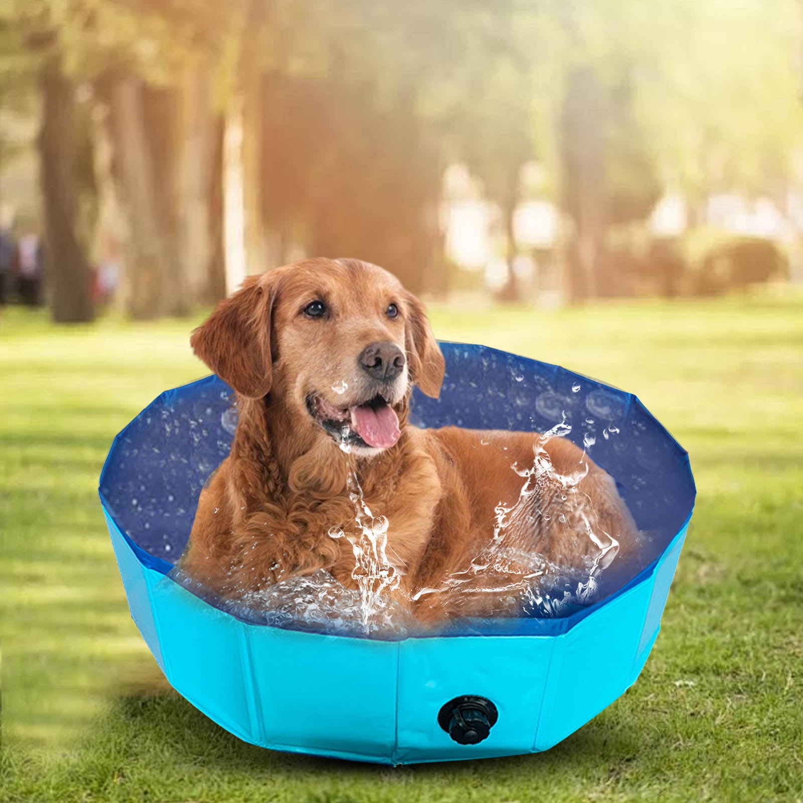 Foldable Dog Kiddie Pool Hard Plastic Kids Swimming Pools Pet Doggie ...