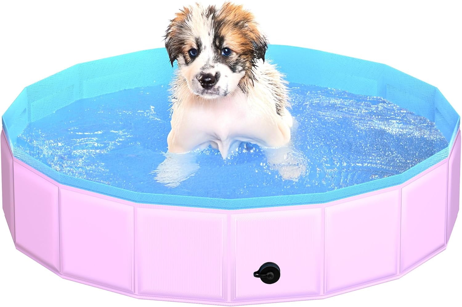 Foldable Dog Pool, 55" x 12" Kiddie Pool with Hard Plastic, Non-Slip ...
