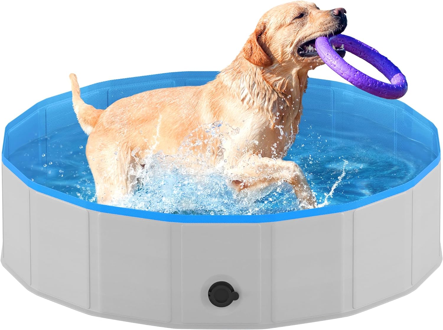 Foldable Dog Pool, Collapsible Hard Plastic Dog Swimming Pool, Portable ...