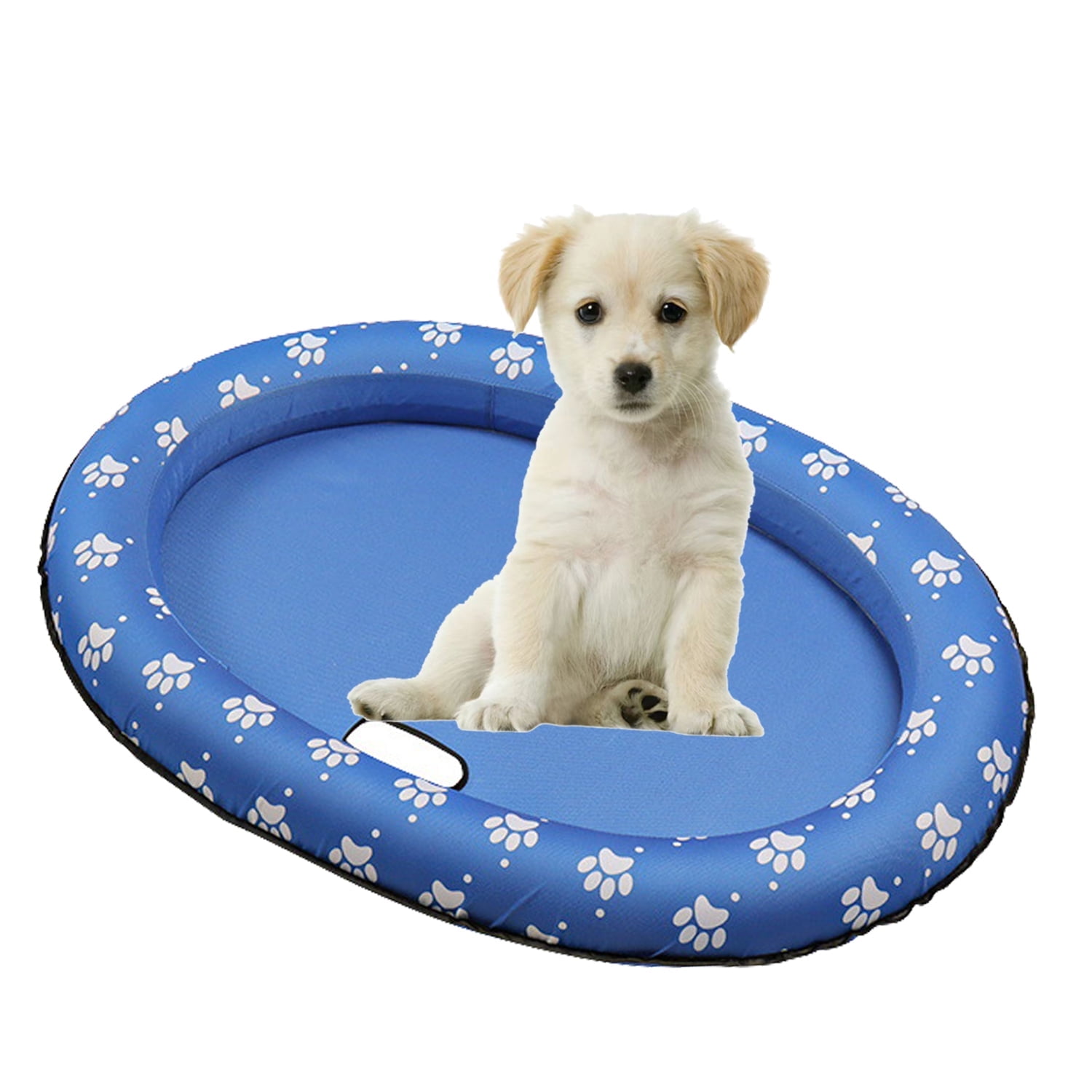 GreenJoy Foldable Dog Pool Float - Inflatable Dog Floating Raft,Scratch ...