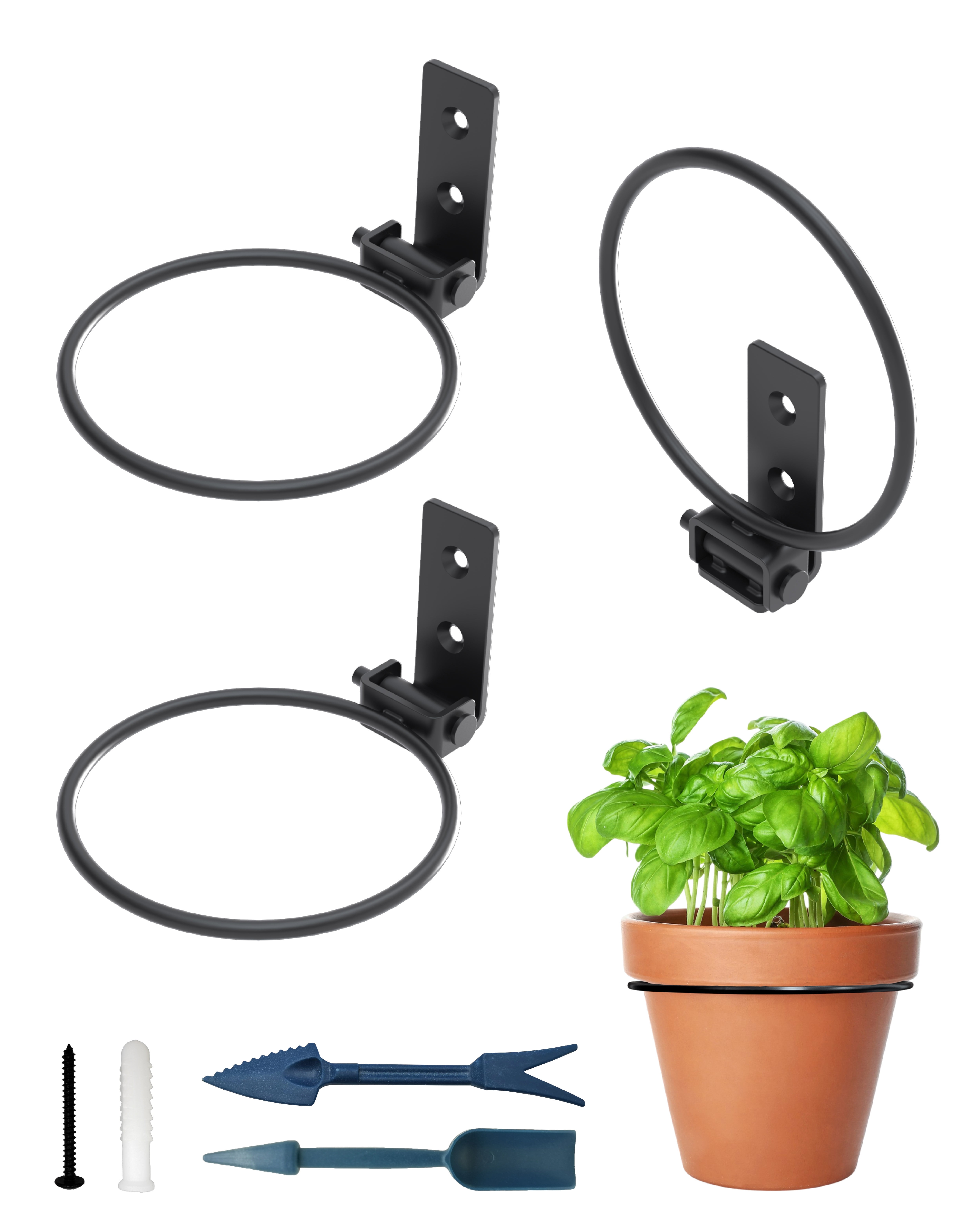 NACETURE Heavy Duty Wall Mount Ring for Plants 6 Inch, Set of 3 ...