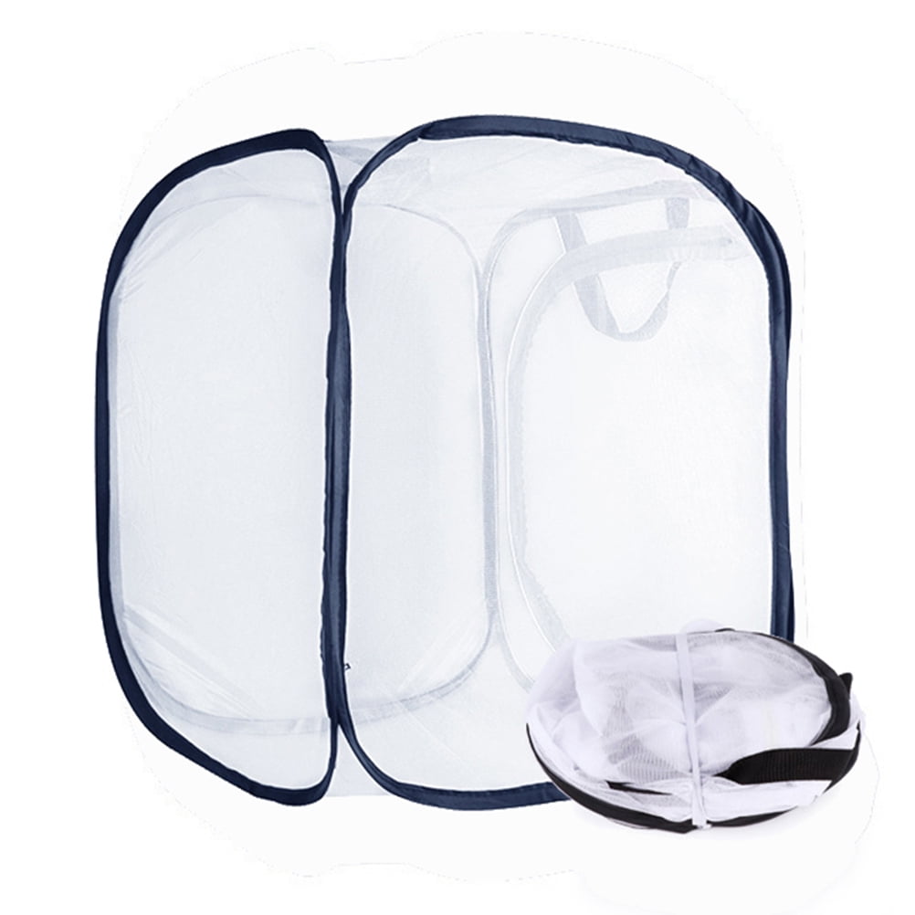 Foldable Insect Net Cage Portable Summer Butterfly Observation Cage ...