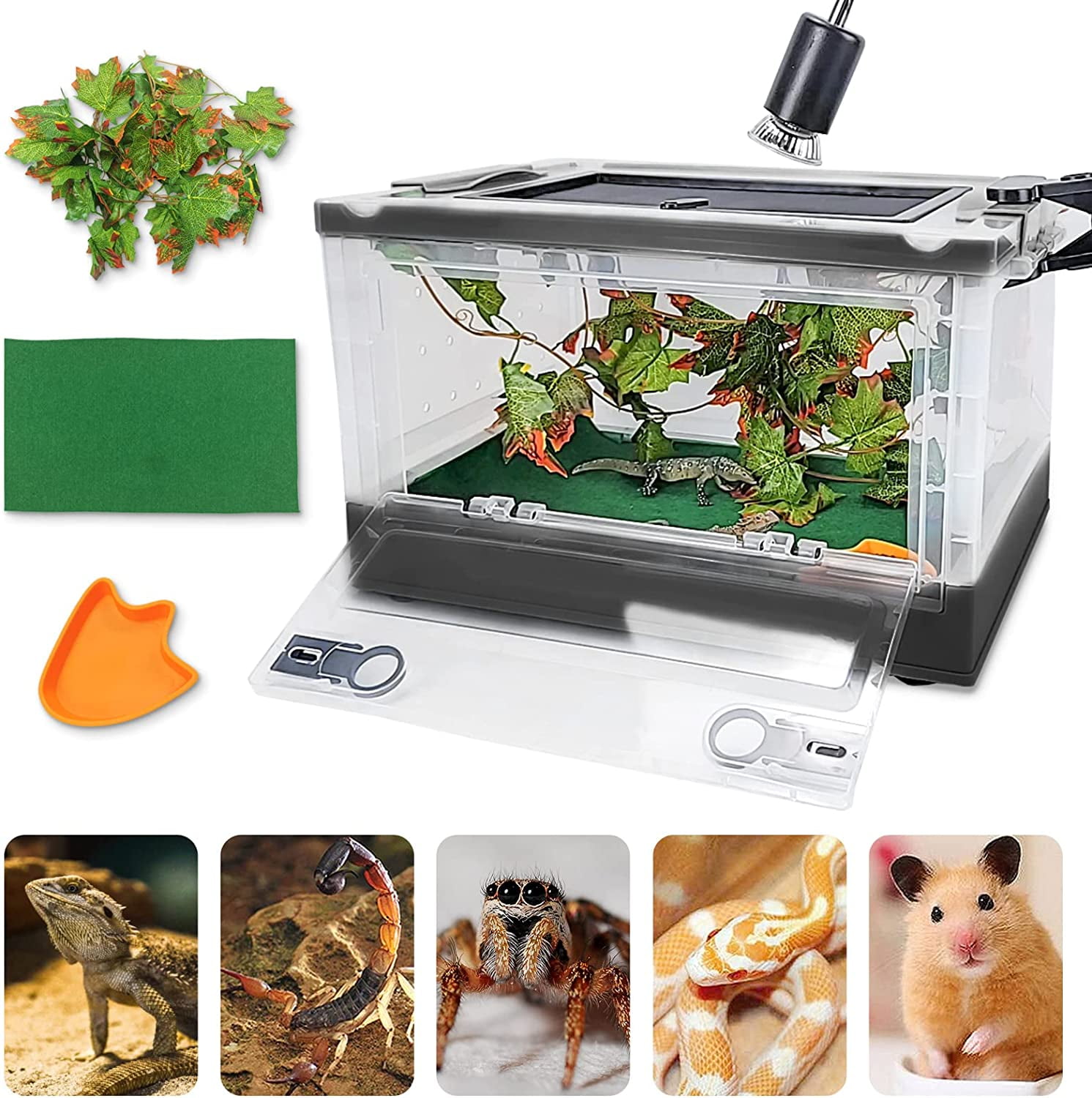 Foldable Reptile Terrariums Kits with Plant, Feeding Bowl, Carpet, Easy ...