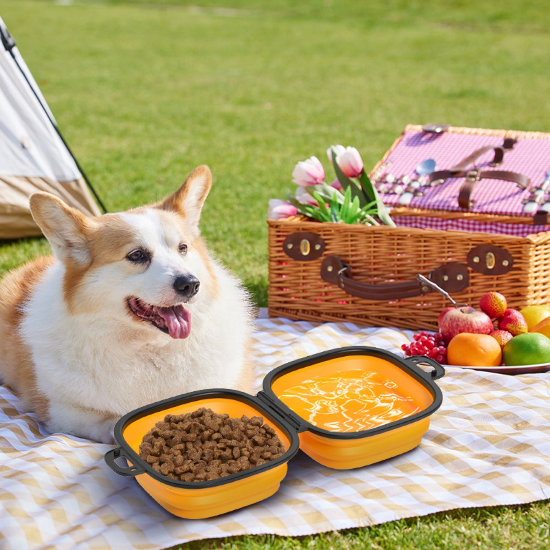 Foldable Silicone Pet Bowl for Dogs Cats 2 in 1 Food Water Bowl ...