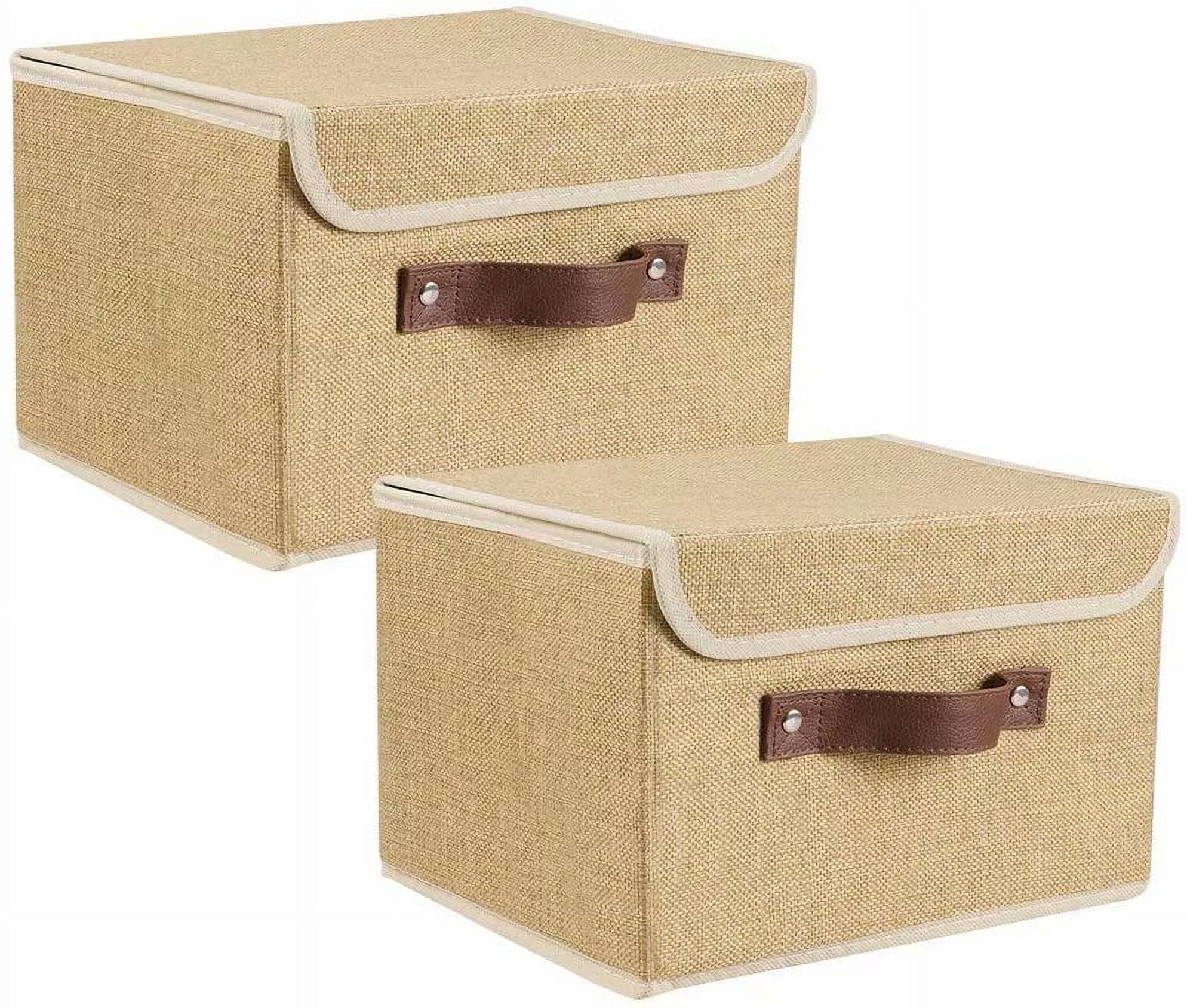 Foldable Storage Bins 2 Pack Storage Boxes with Lids and Handles ...