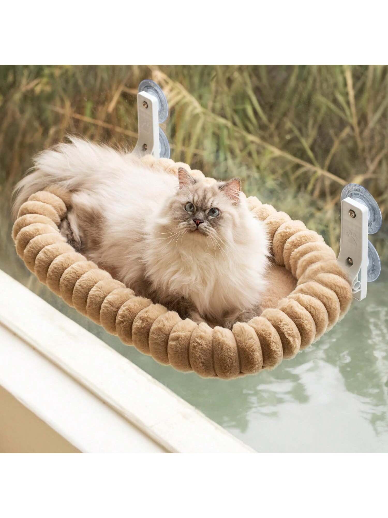 Folding Cat Window Perch for Large Cats - Cordless, Machine Washable ...
