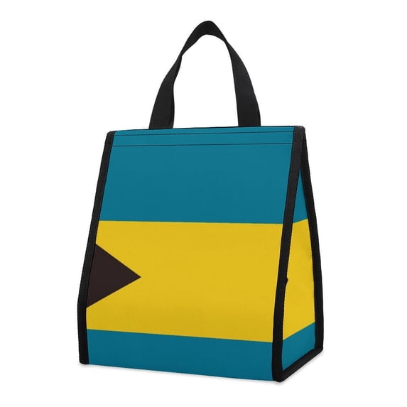 Folding Insulation Bag 10.2×6.3×10.6in Leakproof Easy To Clean Large ...