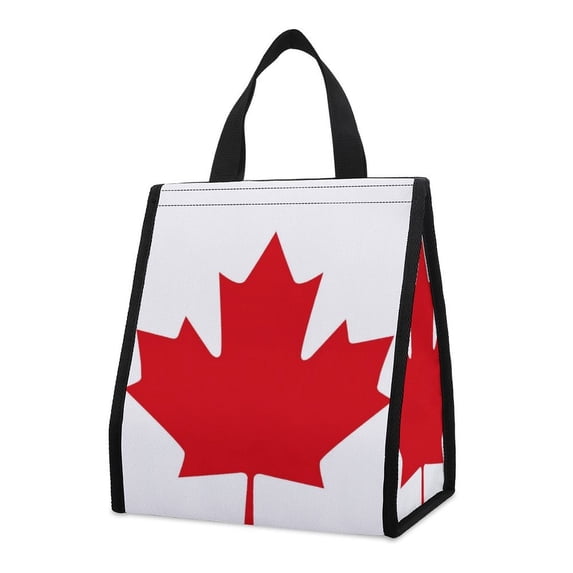 Folding Insulation Bag 10.2×6.3×10.6in Leakproof Easy To Clean Large ...