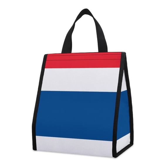 Folding Insulation Bag 10.2×6.3×10.6in Leakproof Easy To Clean Large ...