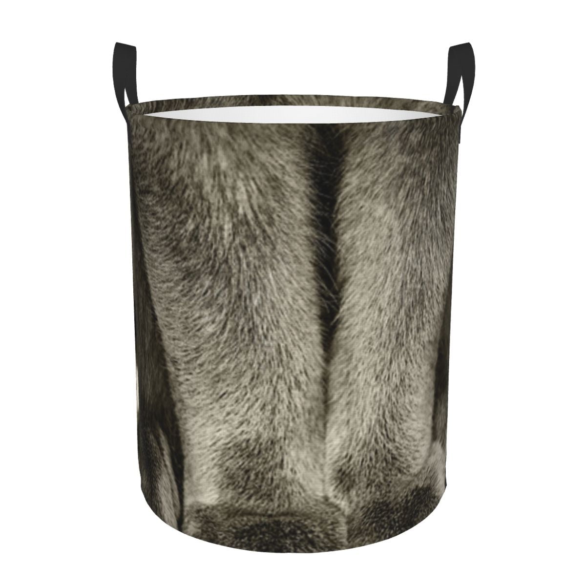 Folding Laundry Basket British Cat In A Sitting Position Dirty Clothes ...