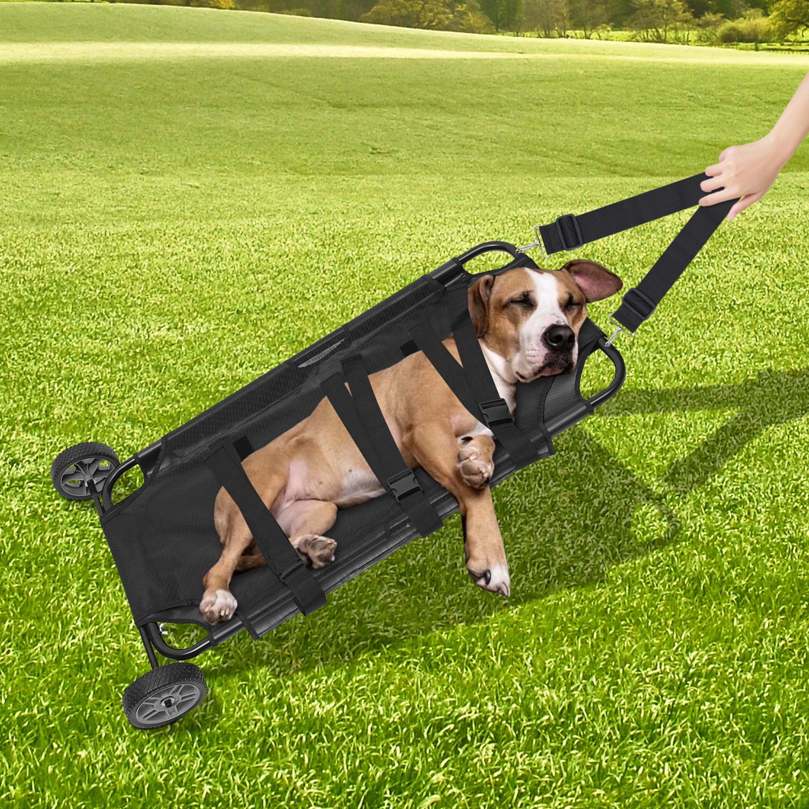 Folding Pet Stretcher with Adjustable Shoulder Strap & Safety Belts ...