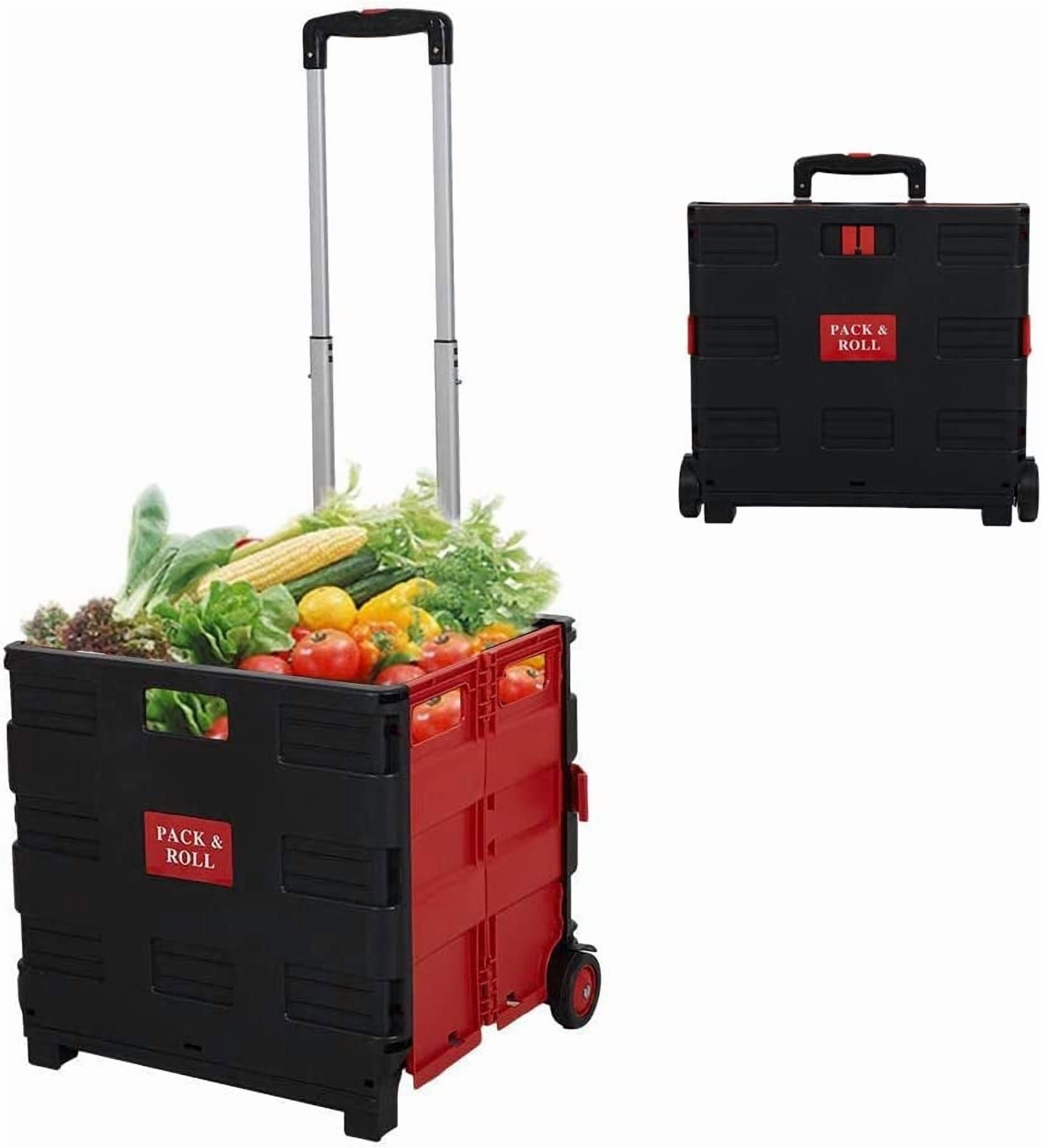 Folding Two-Wheeled Trolley Hand Cart Plastic Hefty Heavy Carry ...