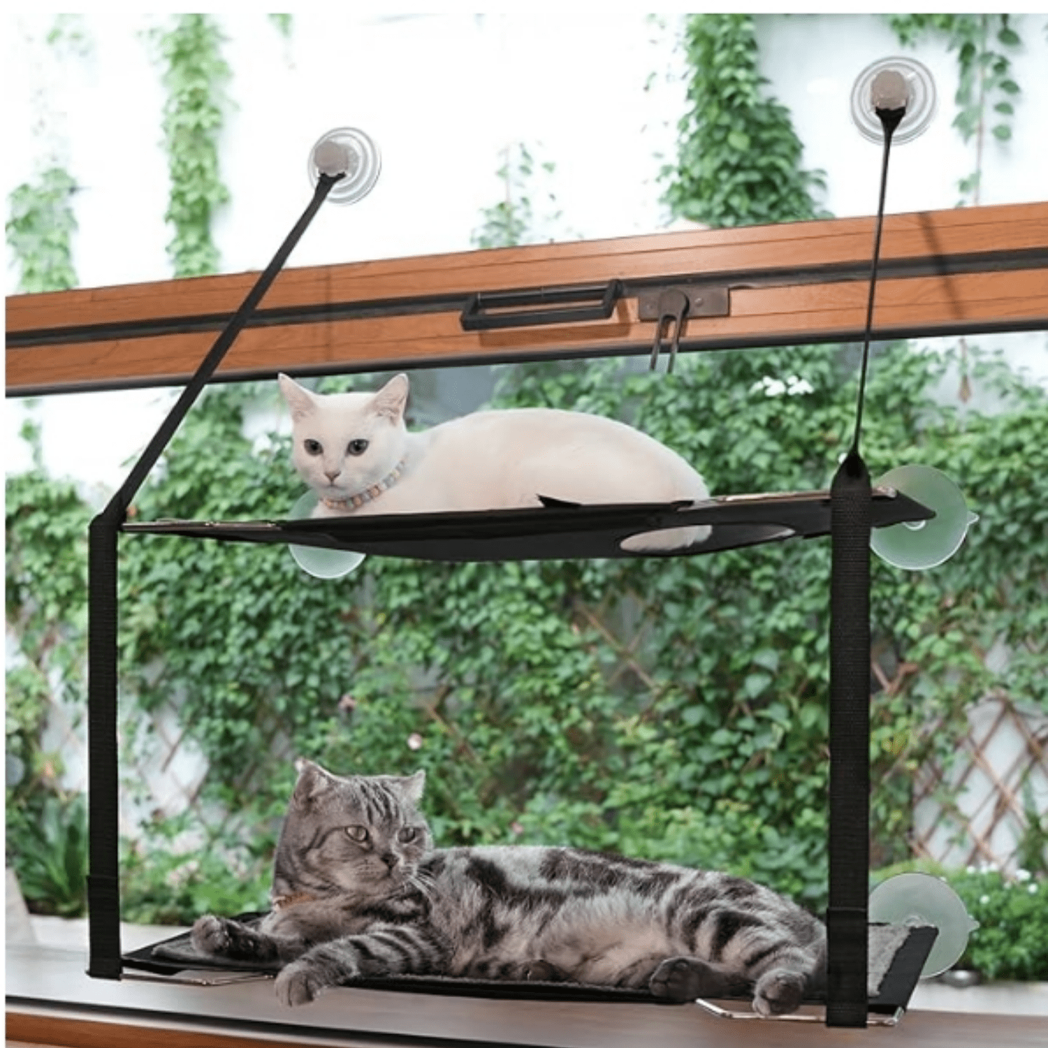 Folding for Closing Curtain Up to 50lb Metal Frames Double Layers ...