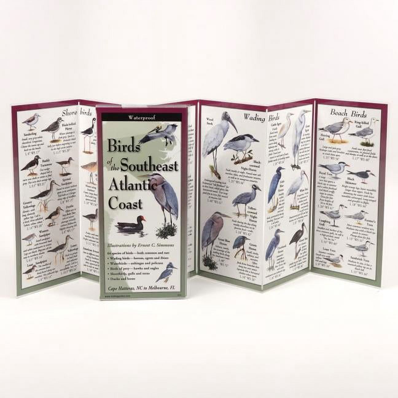 FoldingGuides: Birds of the Southeast Atl. Coast (Other) - Walmart.com