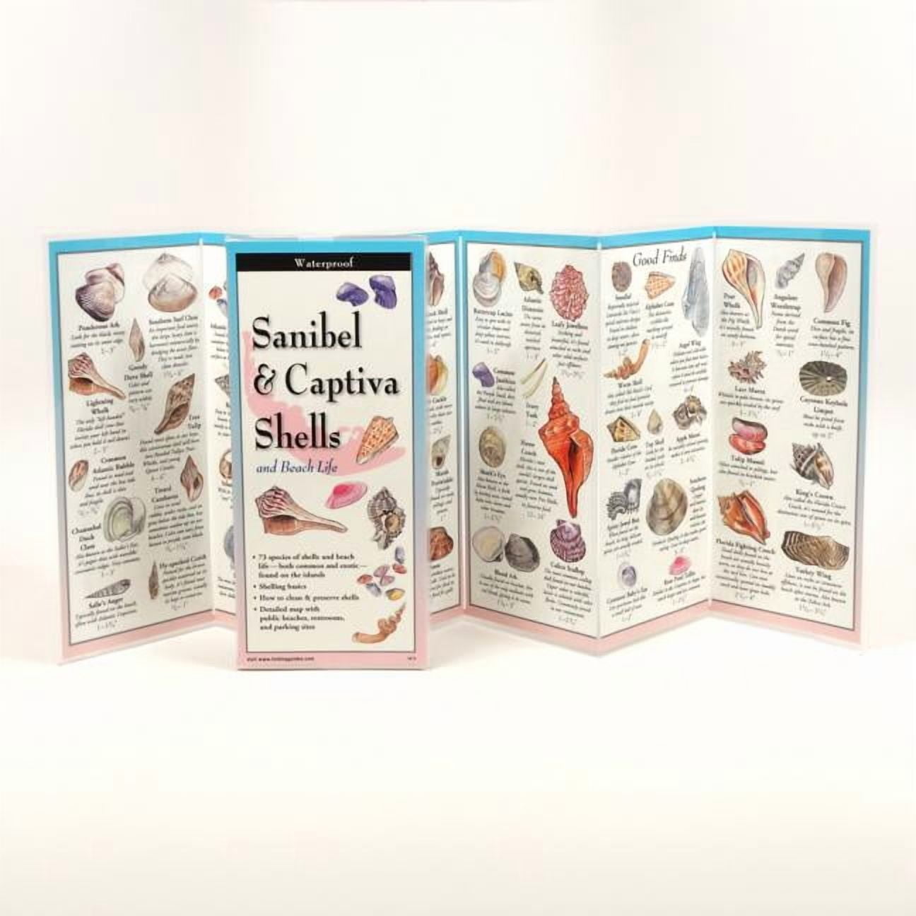 FoldingGuides: Sanibel & Captiva Shells and Beach Life (Other ...