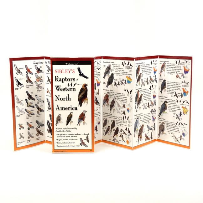 FoldingGuides: Sibley's Raptors of Western N. America (Other) - Walmart.com