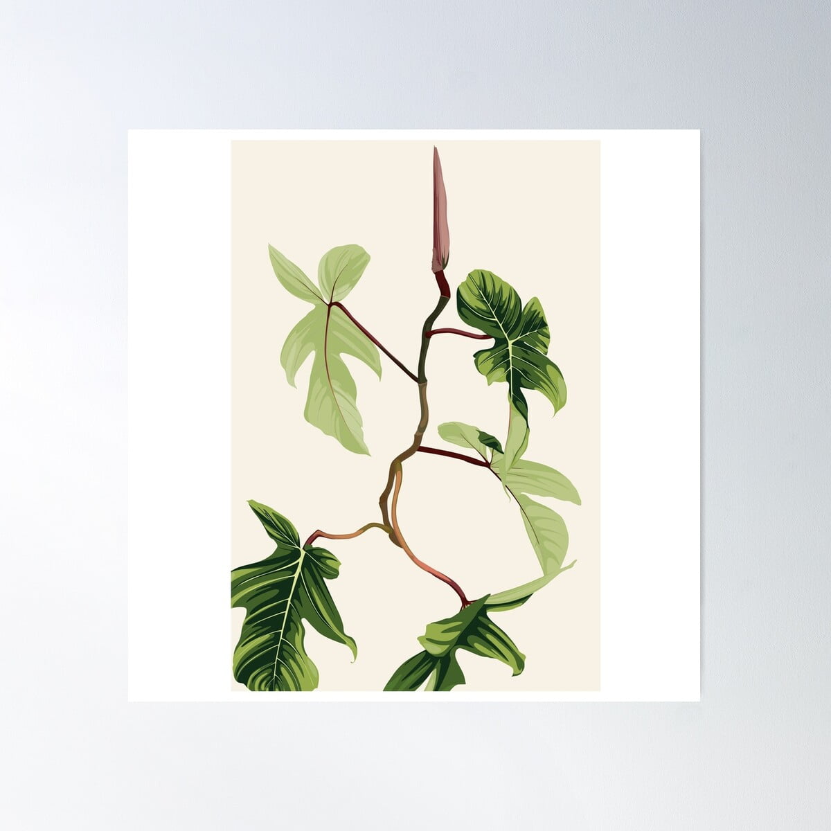 Foliage Tropical Home Plant Philodendron. Poster Wall Art, Modern Wall ...