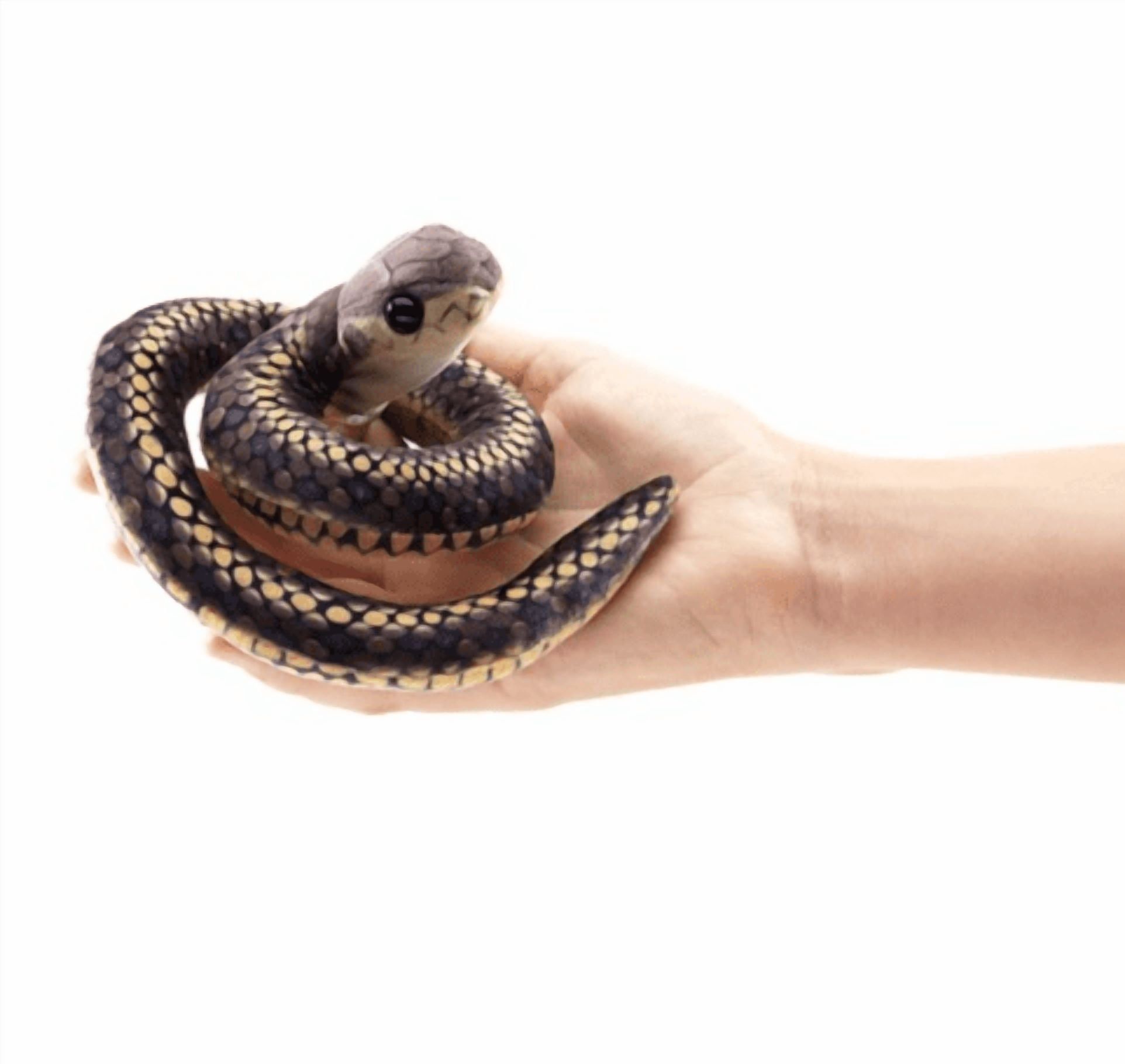 Folkmanis Full Body Mini Snake Finger Puppet, Soft Plush Doll, 5x5x1 ...