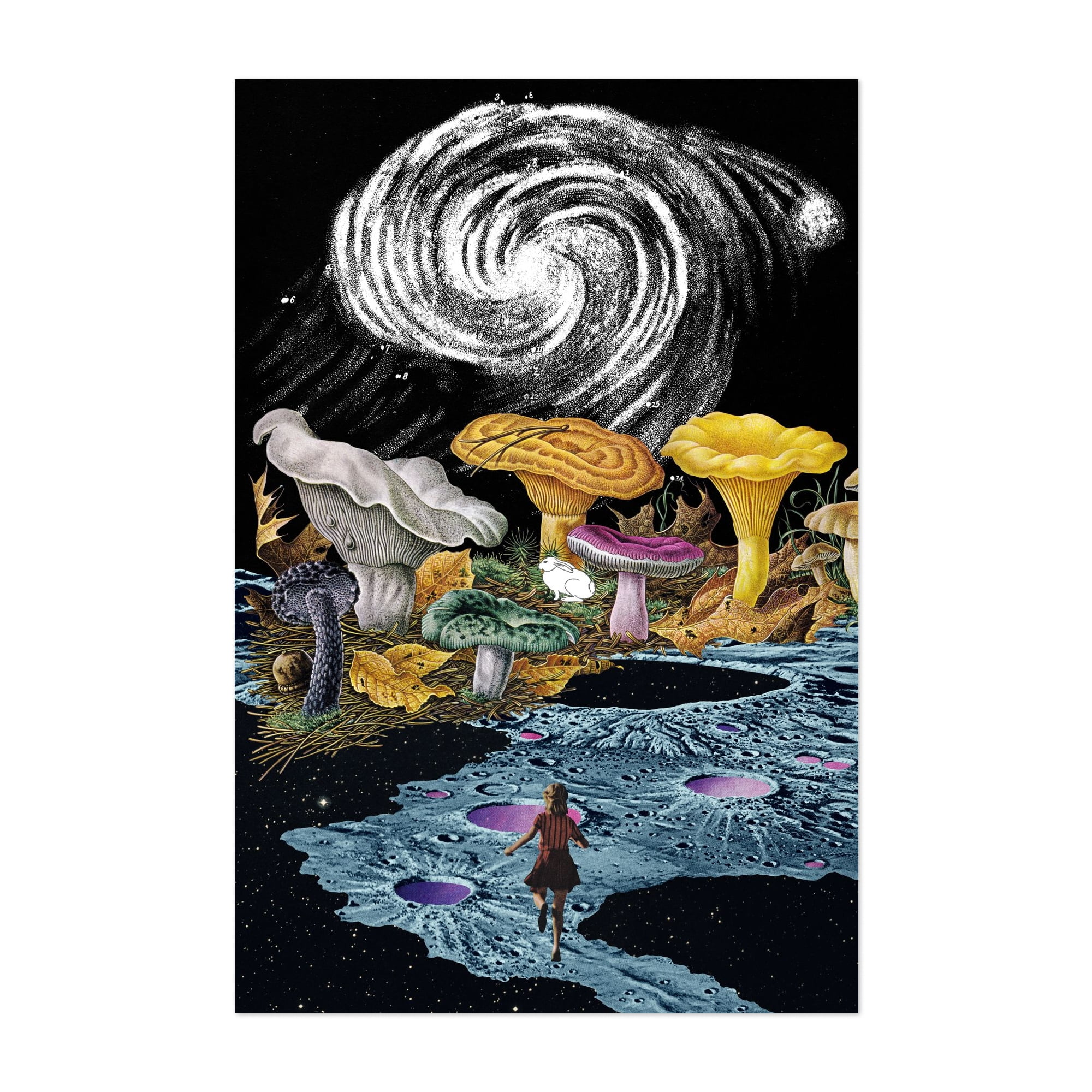 Follow The White Rabbit - Oxford England United Kingdom Collage ...