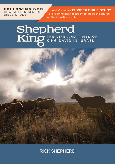 Following God Character Series: Following God David, the Shepherd King ...