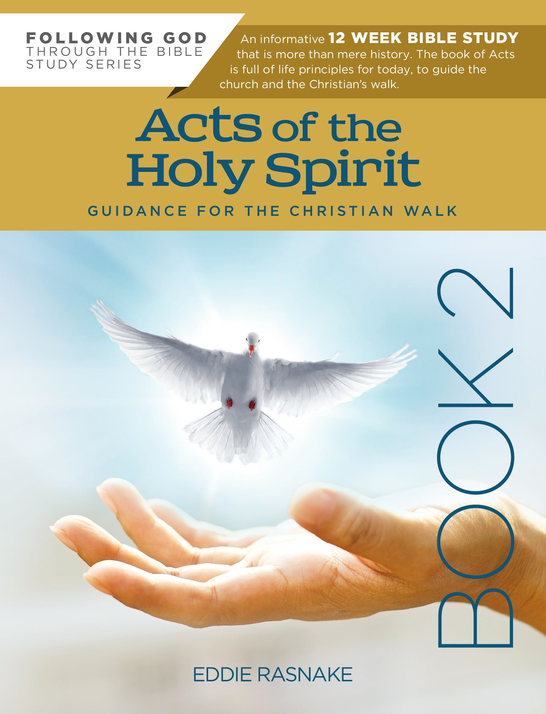 Following God Through the Bible Series: Acts of the Holy Spirit Book 2 : Guidance for the ...