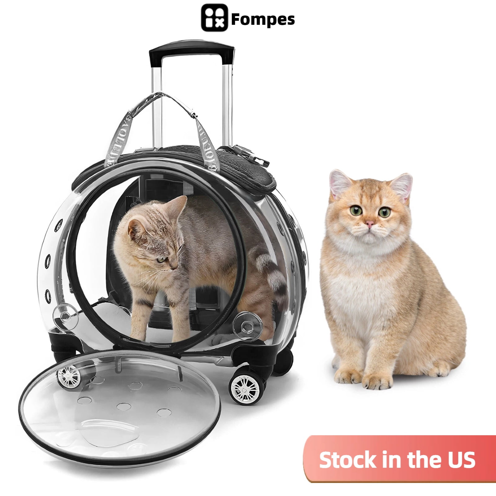 Fompes Transparent Hard Cat Carrier with Rolling Wheels, Fully ...