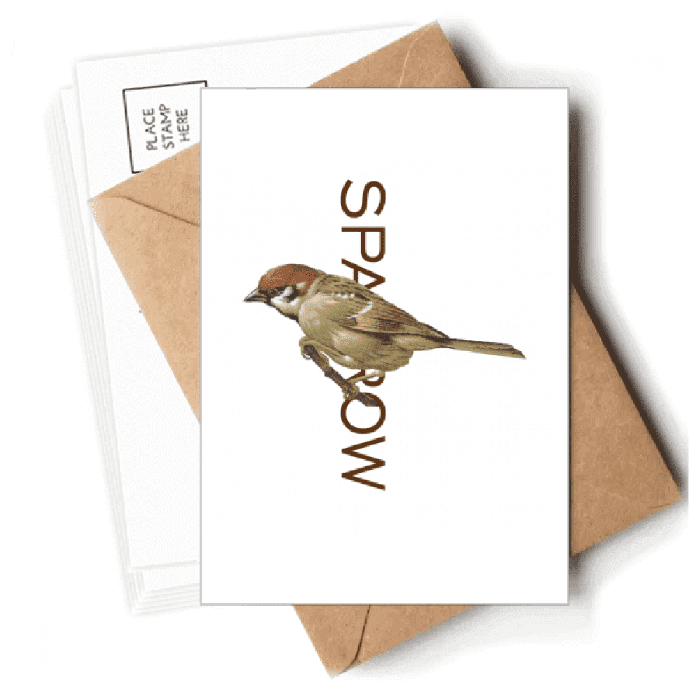 Food Branches Sparrows Birds Postcards Envelopes Blank Note Cards ...