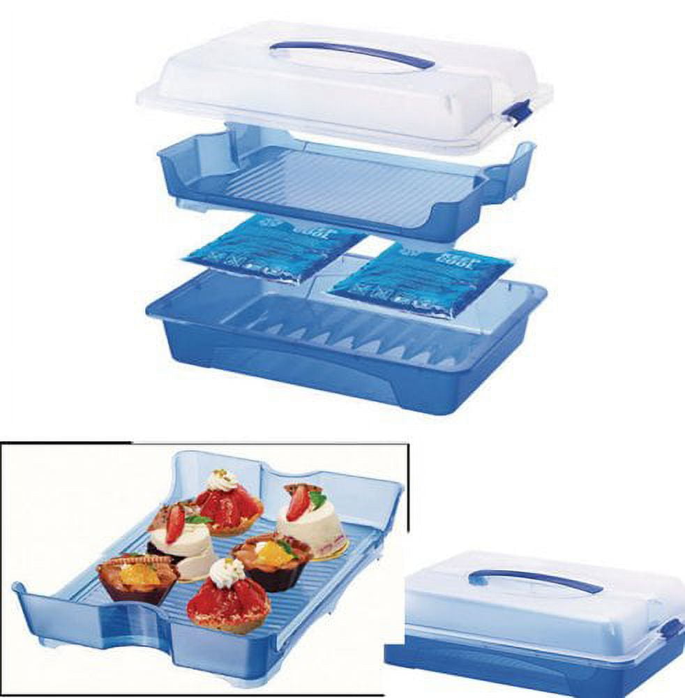 Food Carrier, Server, Platter with Cooling Packs for Picnic, Parties ...
