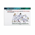 Food Chain And Food Web Ecosystem Chart Science Education Poster 2 ...