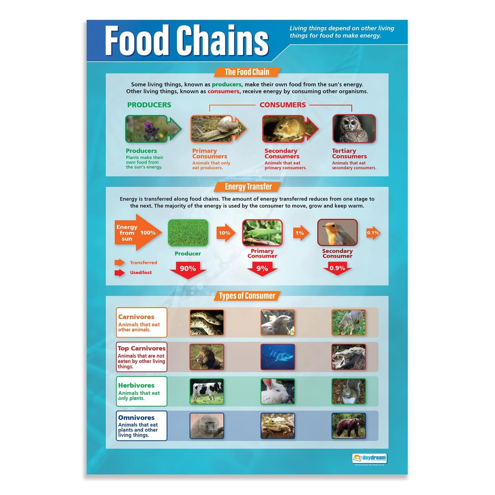 Food Chains Science Classroom Poster - STEM Middle & High School Class ...