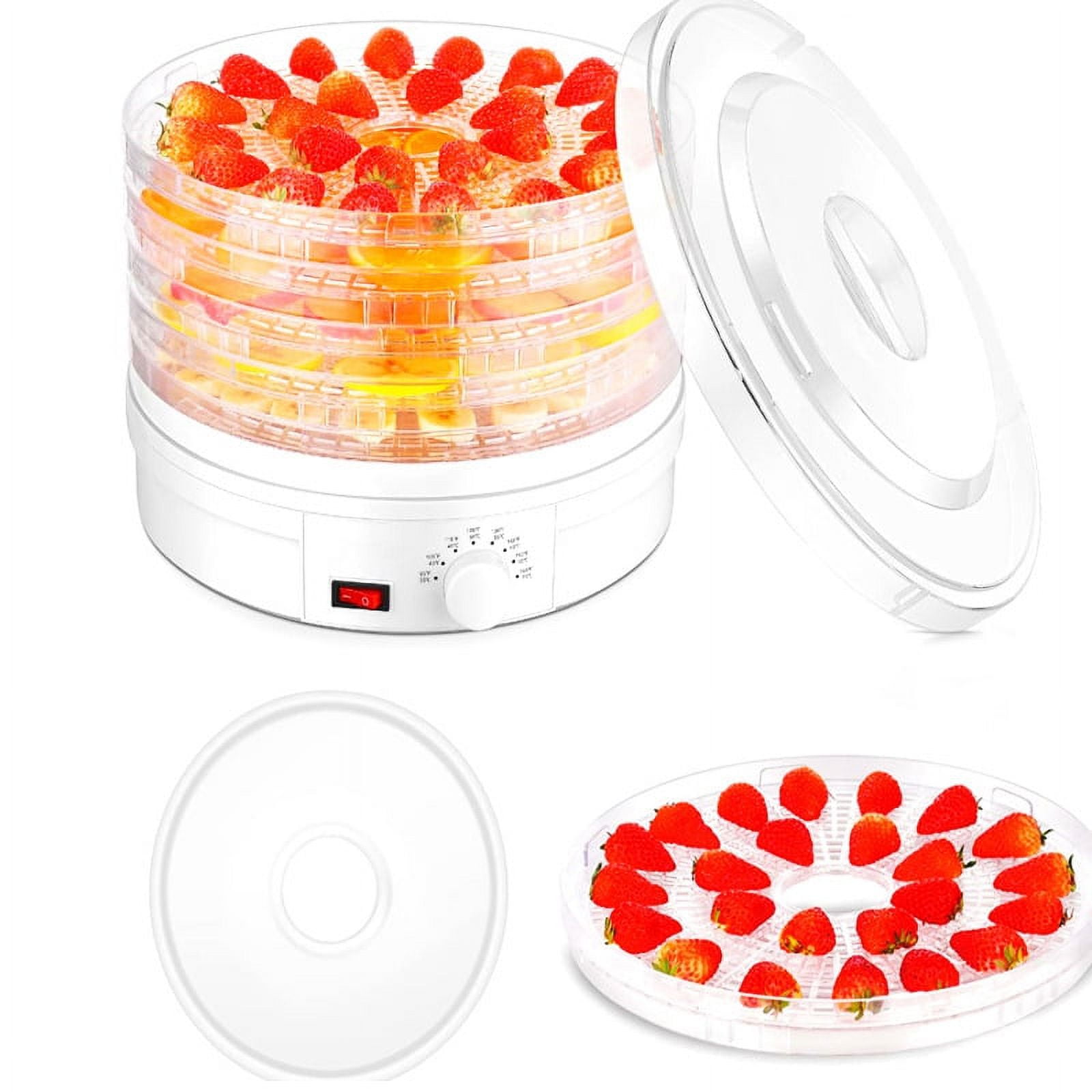 Food Dehydrator Machine - Dehydrate Beef Jerky, Meats, Mushrooms ...