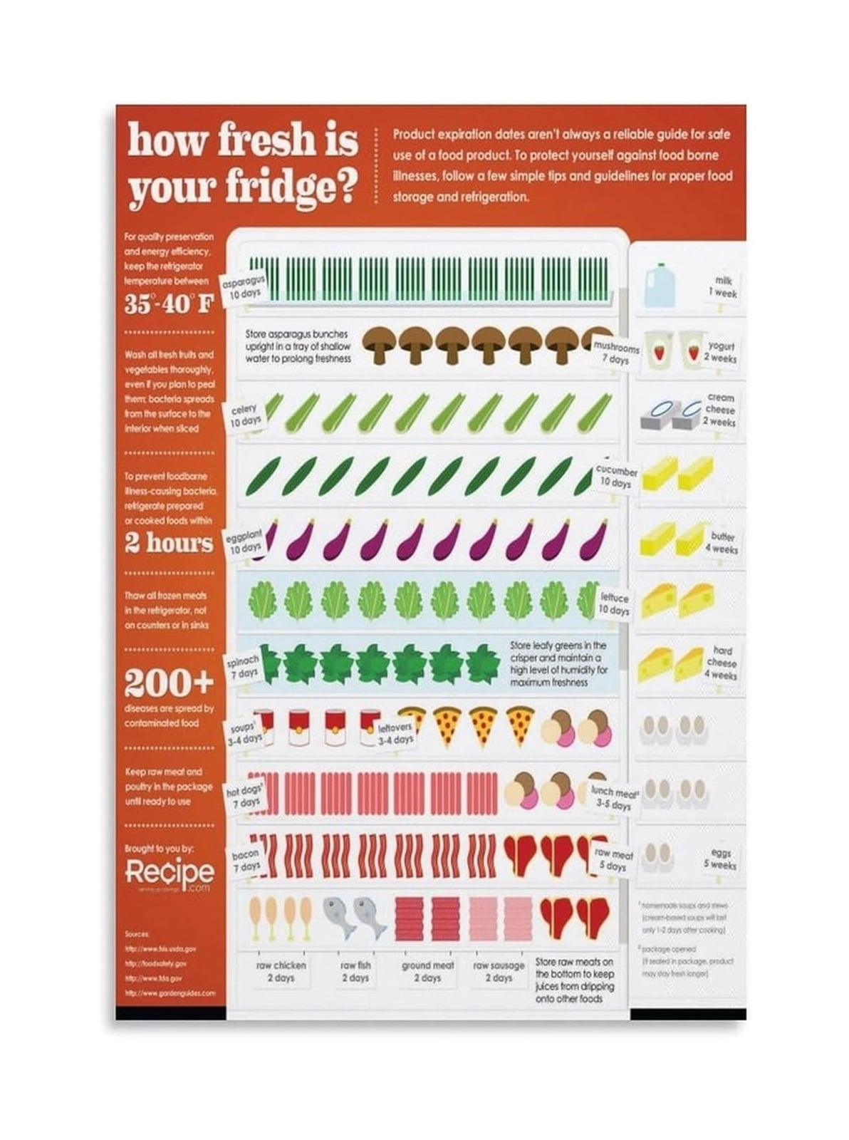Food Freshness Guide Poster Fridge Organization Chart with Proper ...