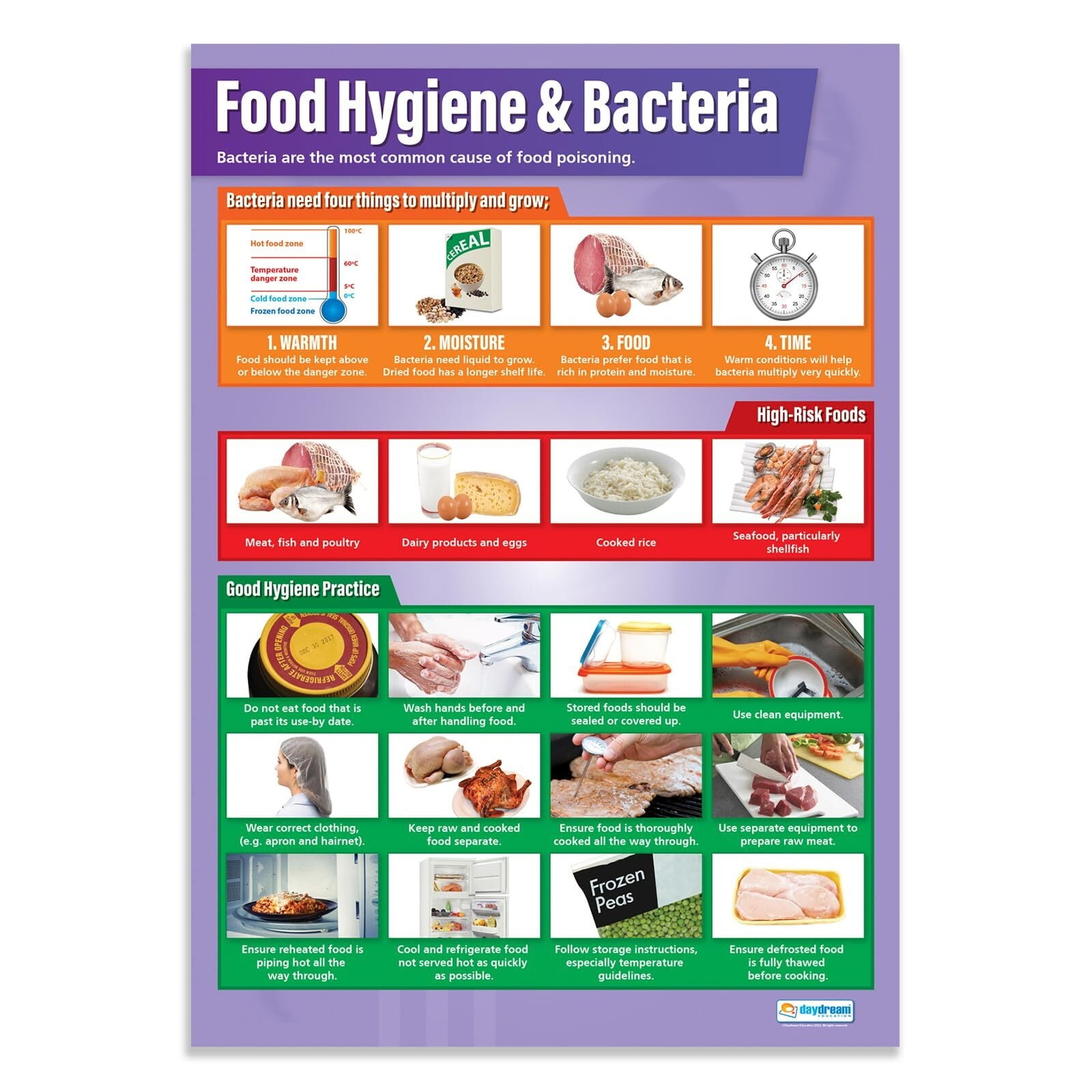 Food Hygiene & Bacteria Classroom Poster - EXTRA LARG - Laminated ...