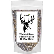 Whitetail Deer Food Plot Seed | Turnip Radish Clover Wheat Rye Oats Mix ...