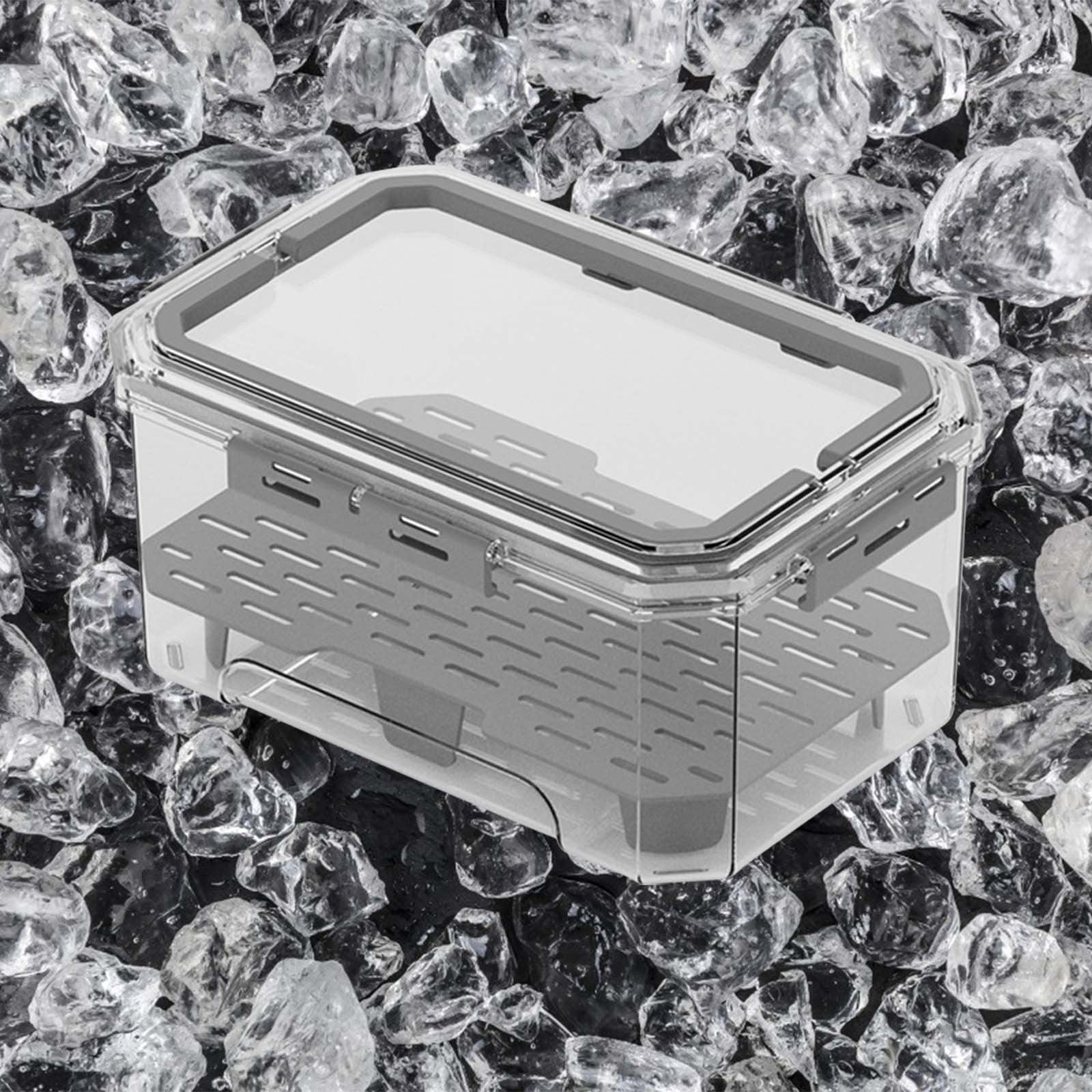 Food Storage Container 2-In-1 Ice Tray Food Storage Container with ...