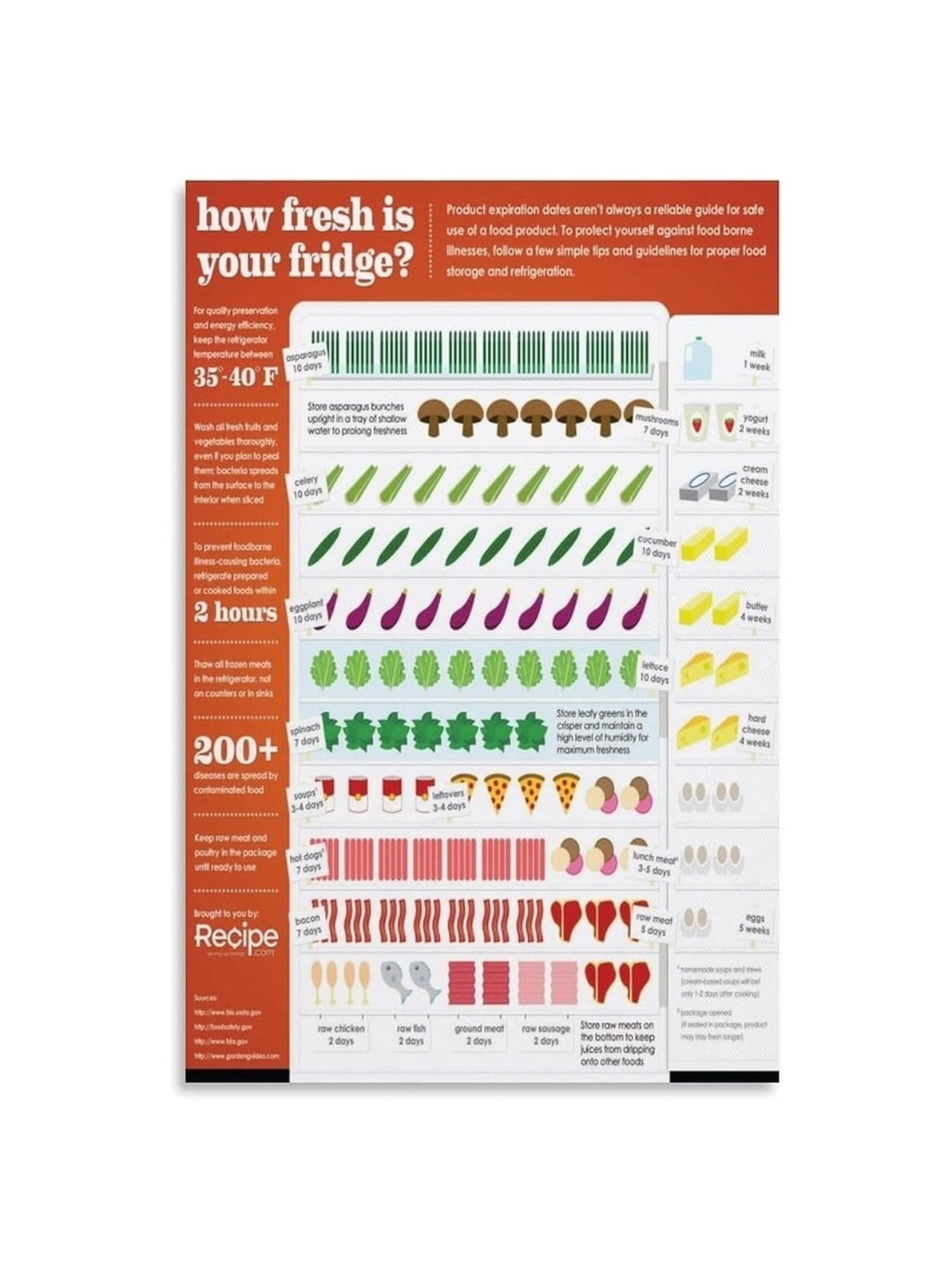 Food Storage Organization Poster Fridge Freshness Guide Shelf Life ...