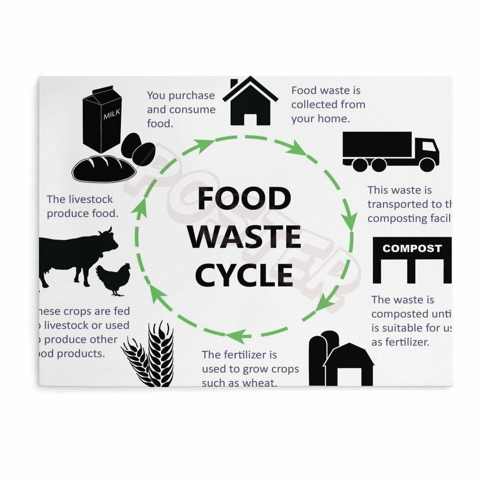 Foods Waste Reduction Infographic Poster Knowledge Guide Poster (2 ...