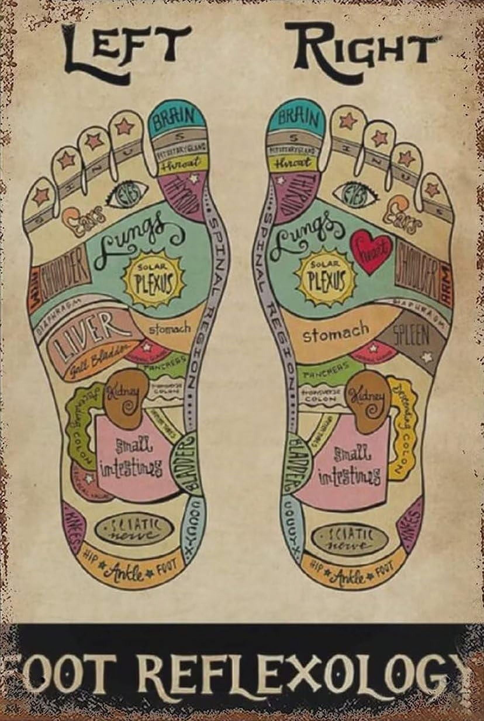 Foot Reflexology Jigsaw Puzzles 120 Pieces For Adults -Massage ...