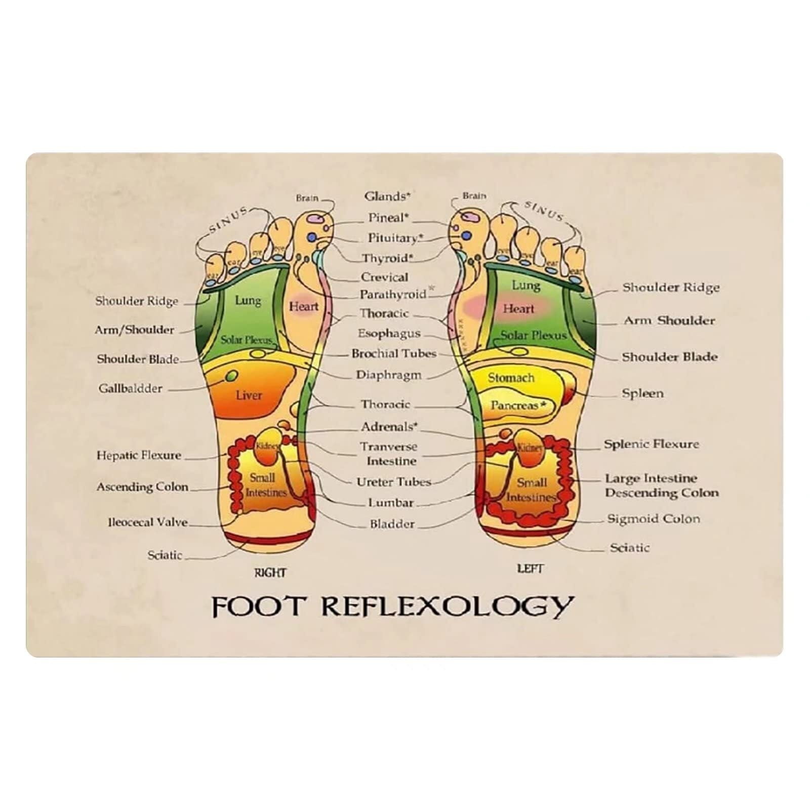 Foot Reflexology Massage Therapist Knowledge Posters Shop Popular ...