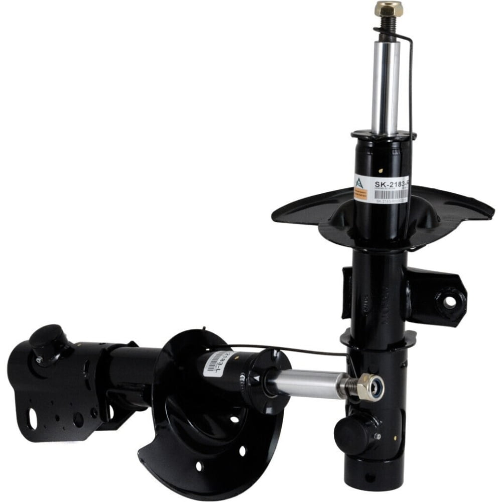 For Cadillac Set of 2 Shock Absorber and Strut Assemblies Left & Right ...
