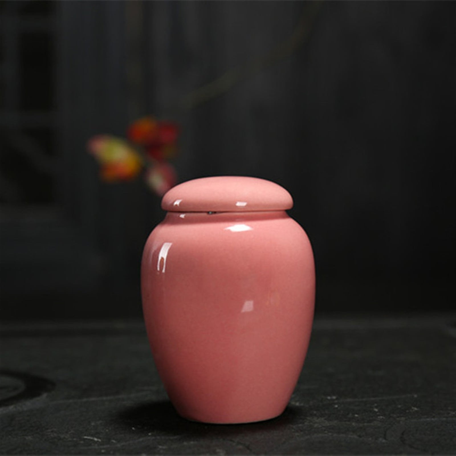 For Dogs Cats Ashes Keepsake Memorial Box Funeral Set Burial Urns For ...