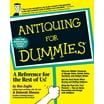 For Dummies: Vocabulary for Dummies (Paperback) - Walmart.com