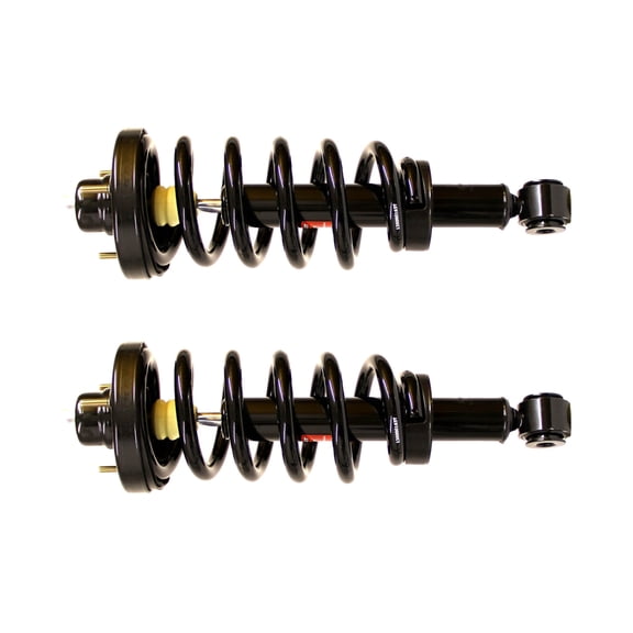 2007 Expedition Struts