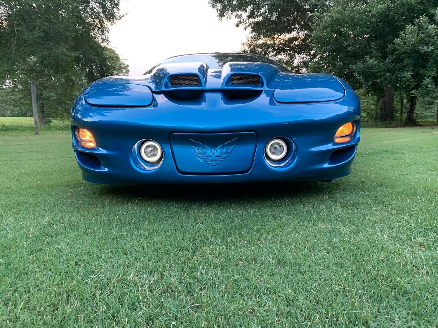 For Halo Fog Lights for 1998 1999 2000 2001 2002 Pontiac Firebird Trans ...