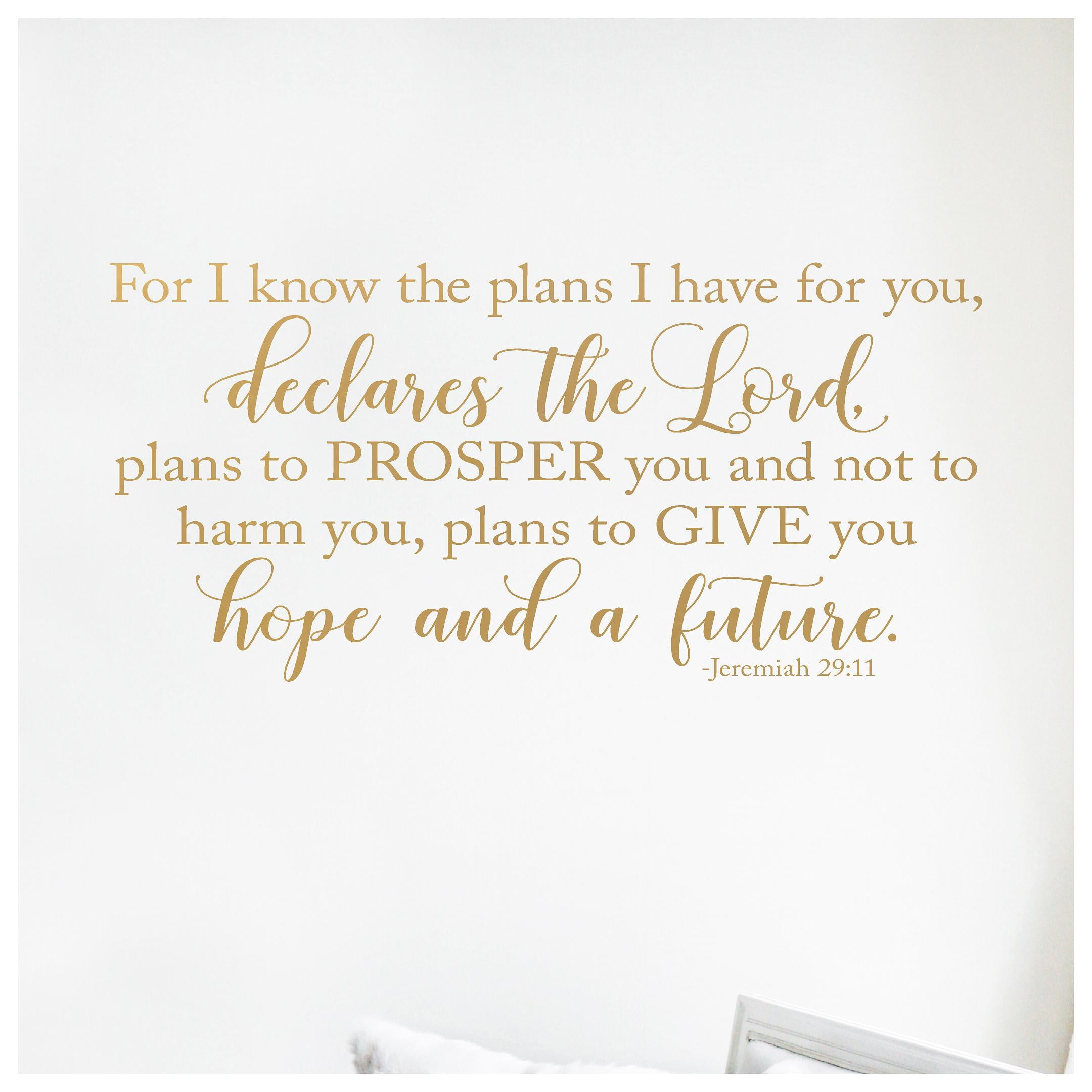 For I Know the Plans I Have for you, Declares the Lord, Plans To... Jeremiah 29:11 Bible verse ...