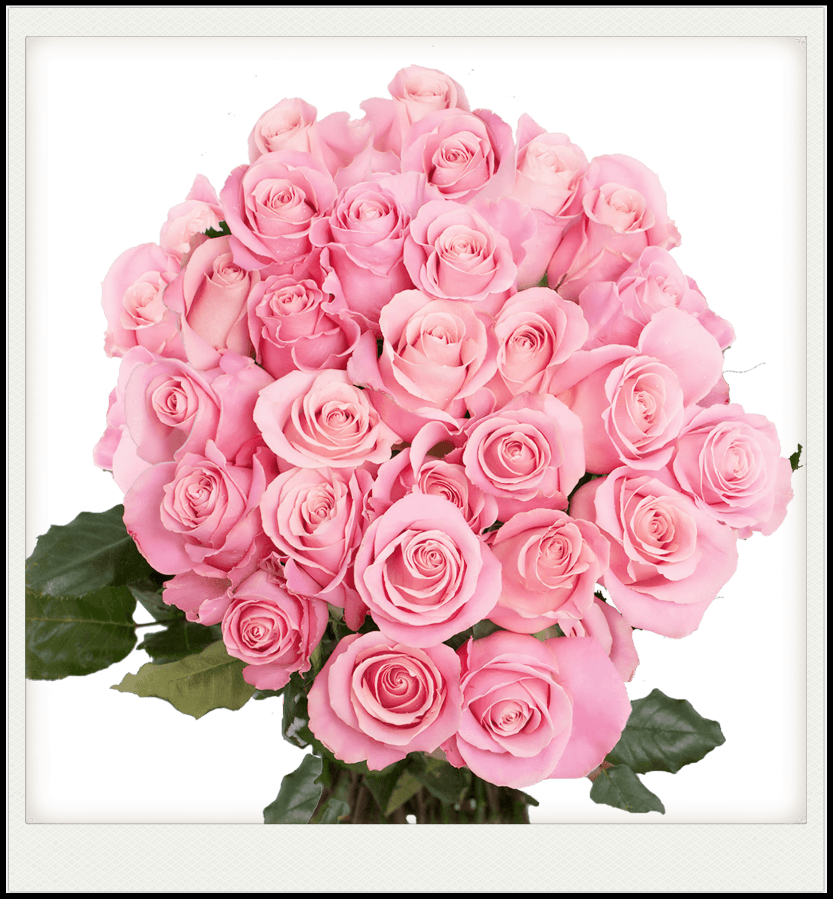 For sale, Pots to Grow, Indoors or Outdoor Gardens Decoration,Rose ...