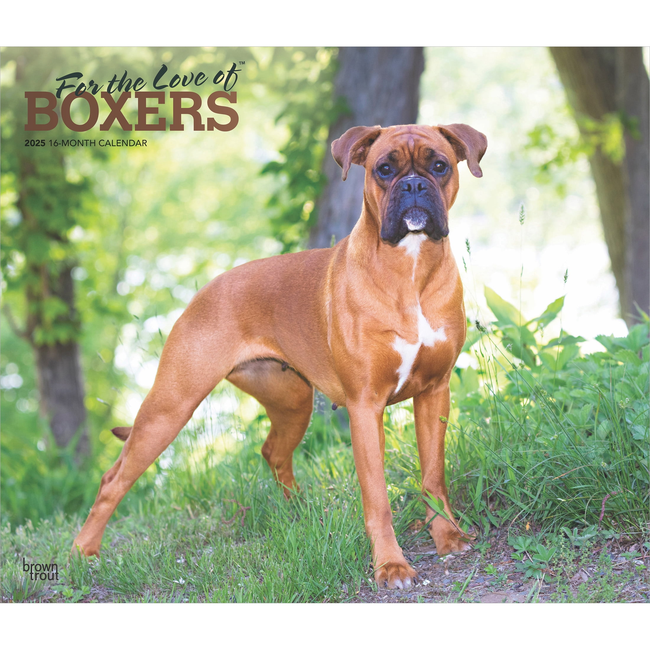 For the Love of Boxers | 2025 14x24" (Hanging) Deluxe Wall Calendar ...