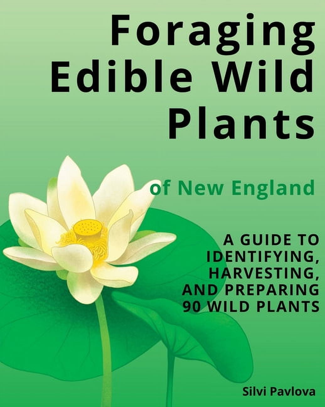 Foraging Edible Wild Plants of New England: A Guide to Identifying ...